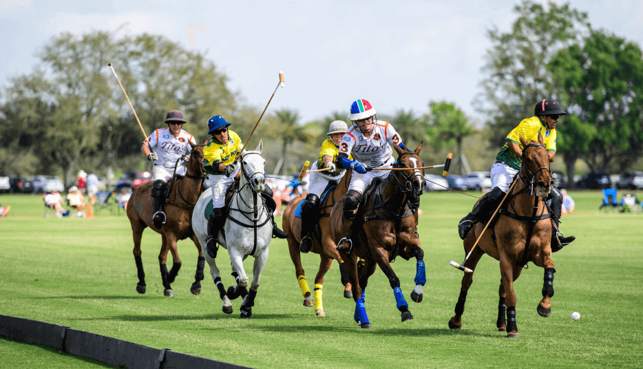 Daily Life of a Polo Player - Sarasota Polo Club