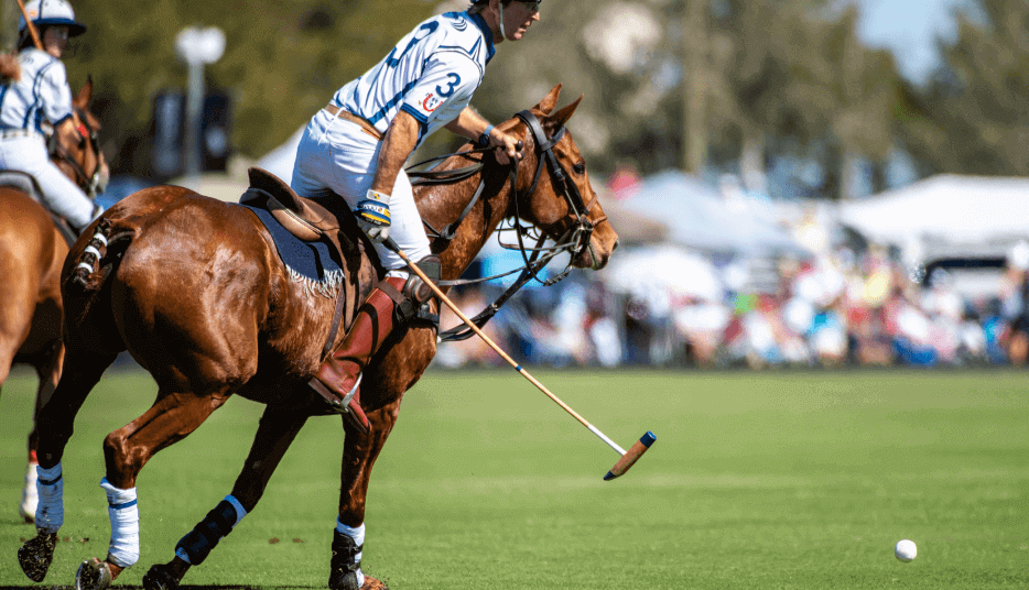 Daily Life of a Polo Player - Sarasota Polo Club