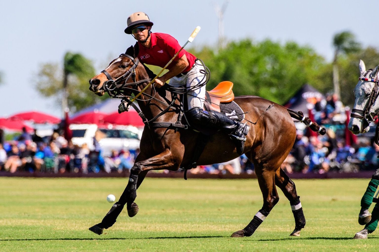 Sunday Polo at the Sarasota Polo Club - Spring Break at the Green Beach ...