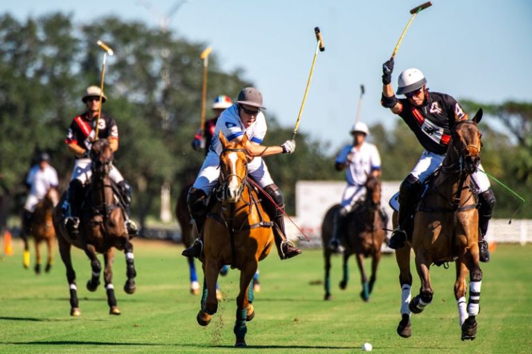Sunday Polo at the Sarasota Polo Club - Hawaiian Luau 12-Goal USPA ...