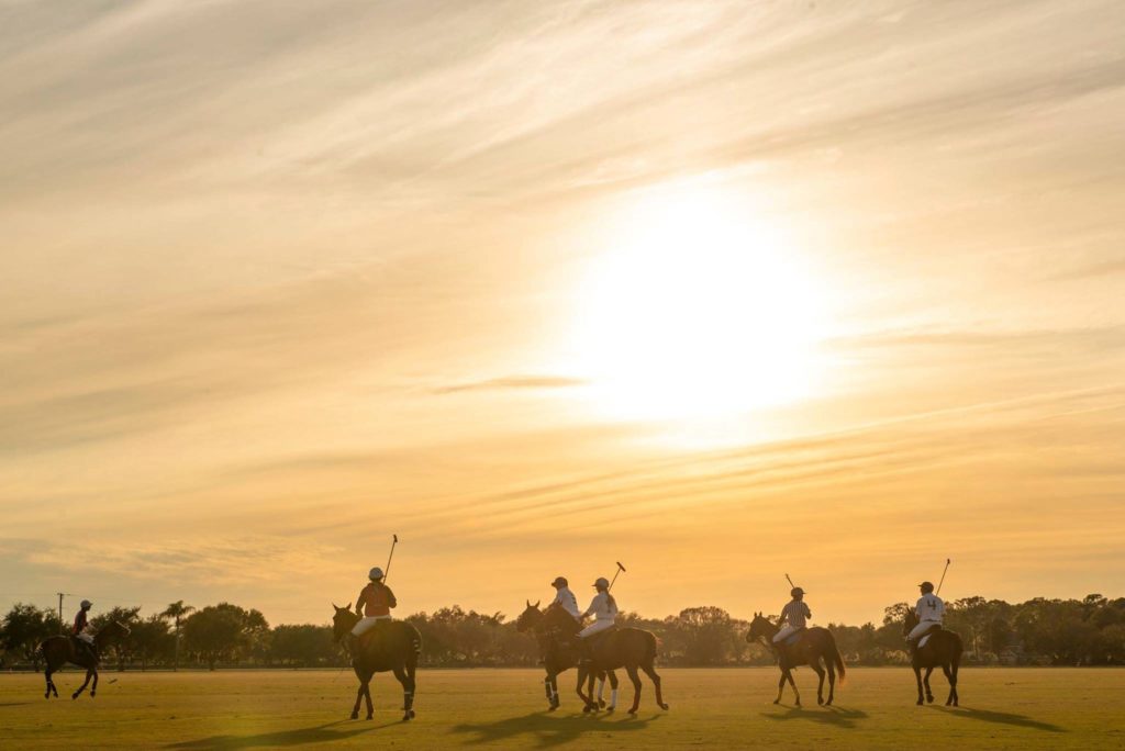 Sunset Polo Happy Hour & Community Concert Series at the Sarasota Polo ...