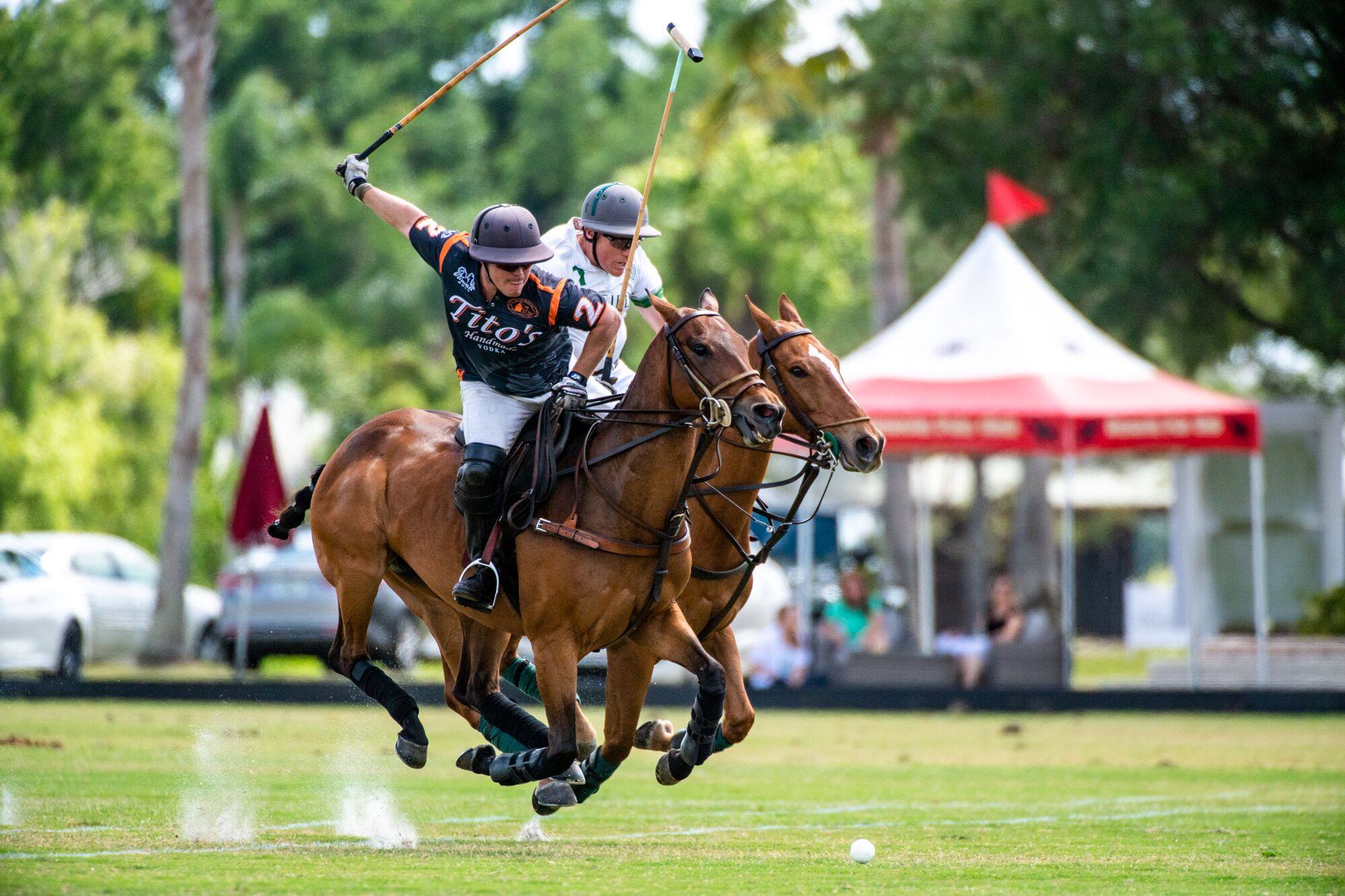 About Polo - Sarasota Polo Club