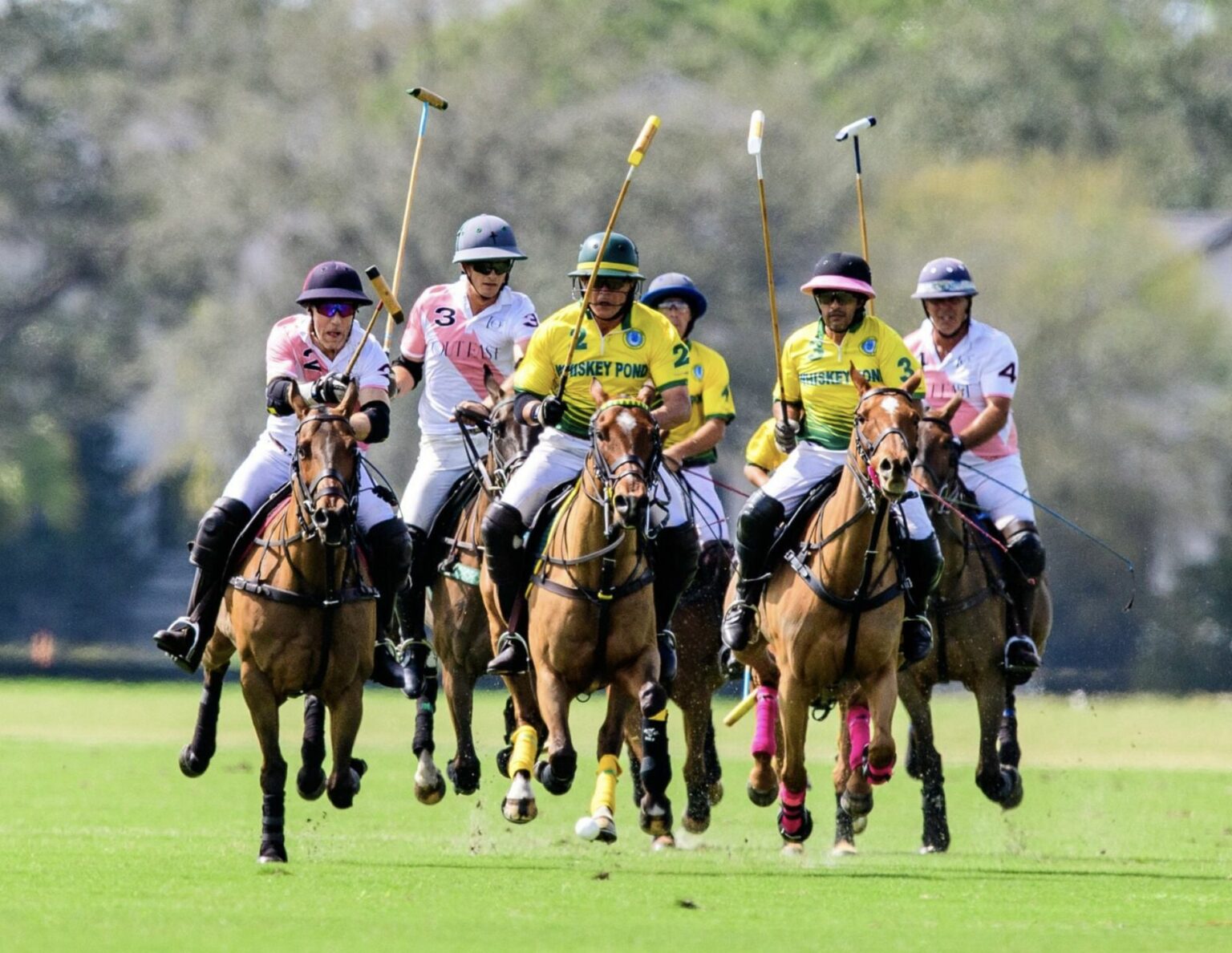 Sunday Polo at the Sarasota Polo Club - 12-Goal USPA Copper Cup ...