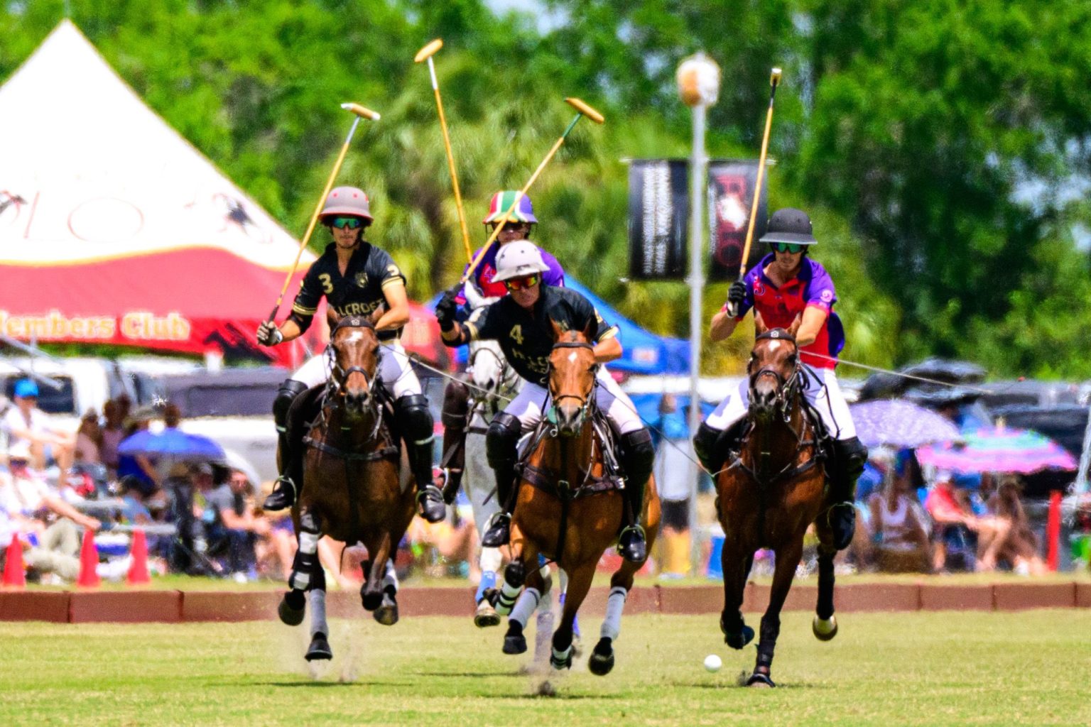 Sunday Polo at the Sarasota Polo Club, Hillcroft Open - Sarasota Polo Club